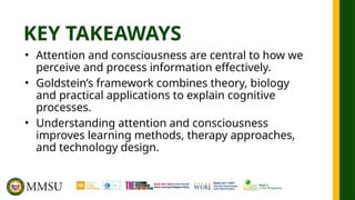 Understanding Attention and Consciousness: Cognitive Processes and ...