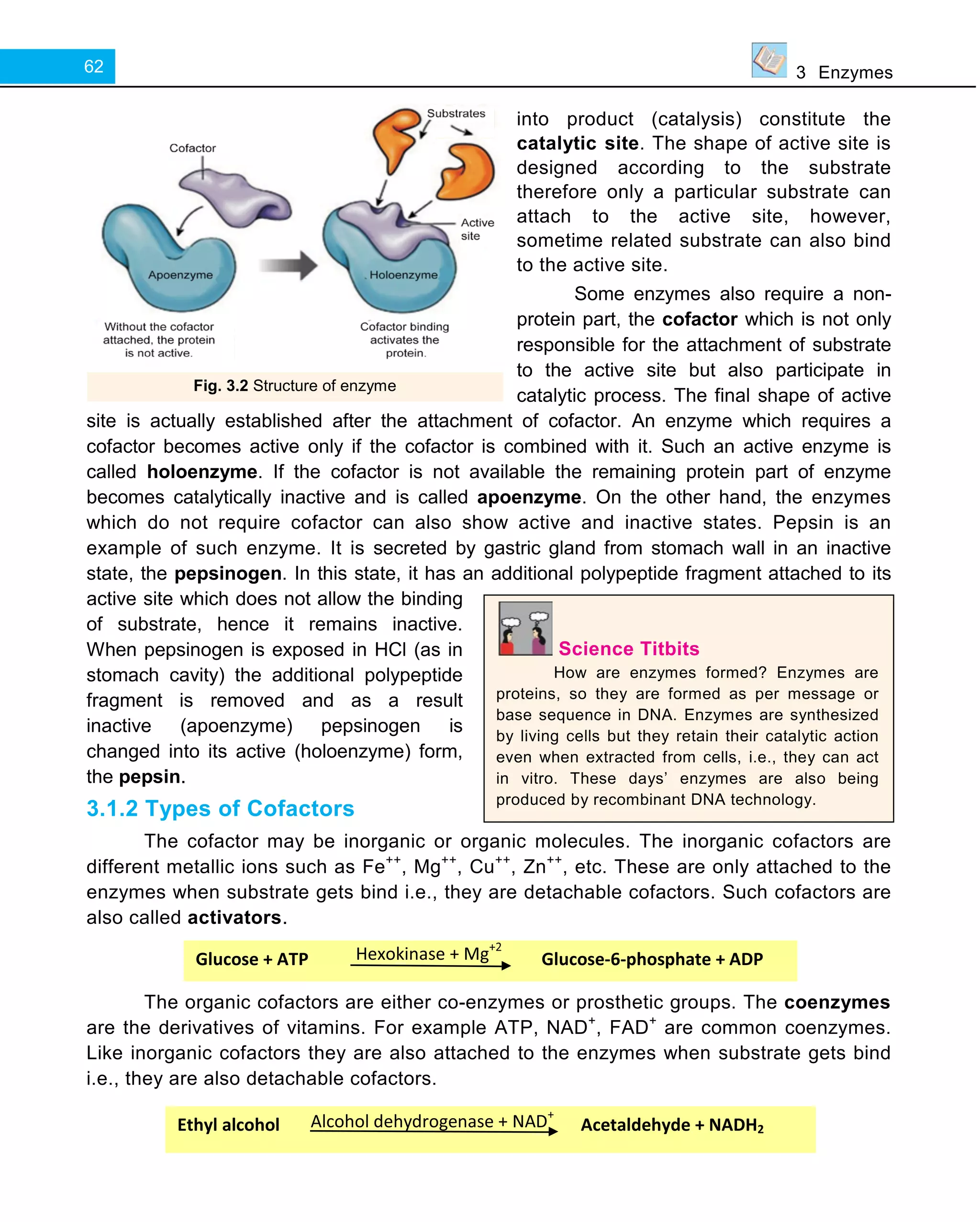 Chapter-3-Biology-11-Class-Federal-Board.pdf