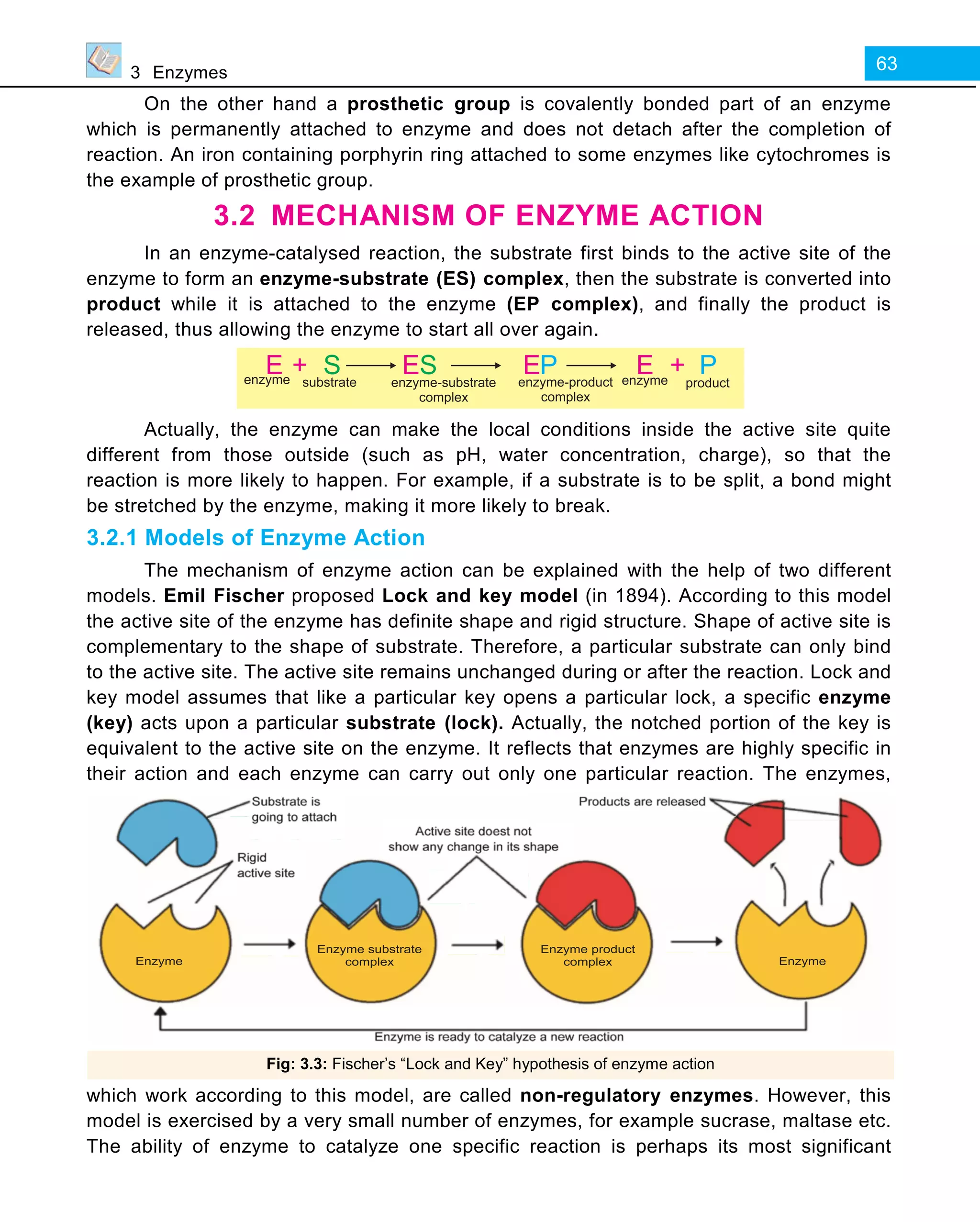 Chapter-3-Biology-11-Class-Federal-Board.pdf