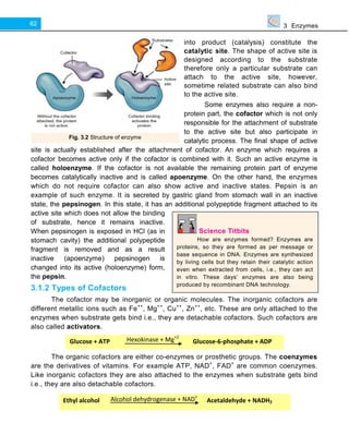 Chapter-3-Biology-11-Class-Federal-Board.pdf