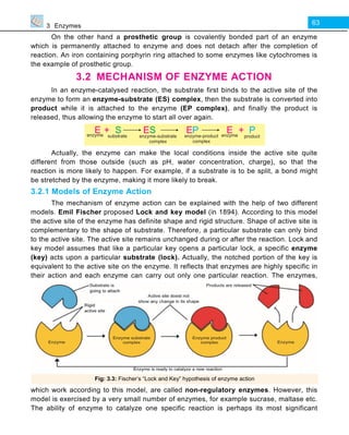 Chapter-3-Biology-11-Class-Federal-Board.pdf