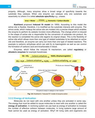 Chapter-3-Biology-11-Class-Federal-Board.pdf