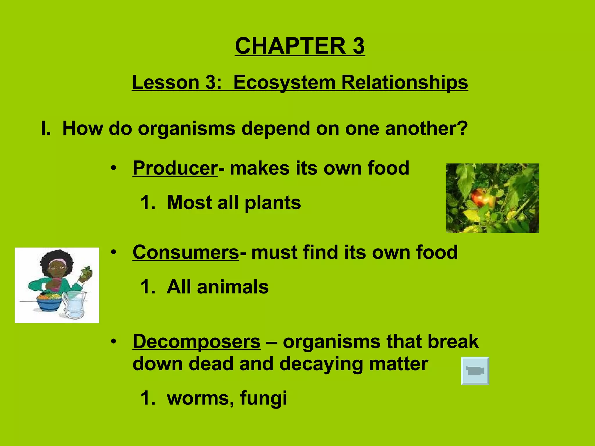 Ecosystem Relationships | PPT | Zoos & Aquariums | Attractions