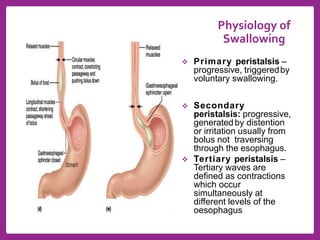 Chapter 3-pharynx +esophagus | PPTX