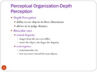 Chapter 3 Psych. 1 | PPT