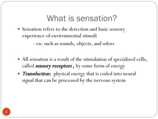 Chapter 3 Psych. 1 | PPT