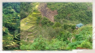 Philippine History Pre-Spanish Period Marcos Era | PPT