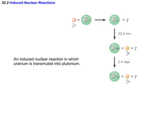 Chapter 32 Powerpoint | PPT