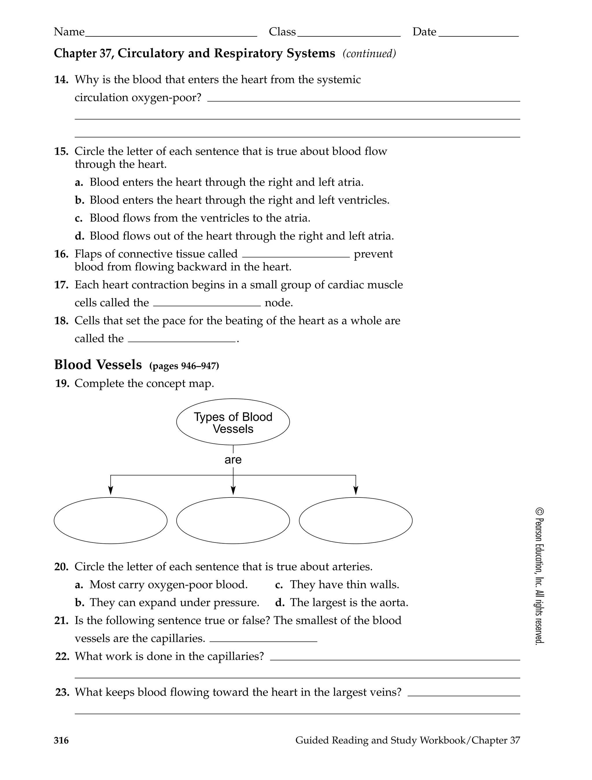 chapter-37-circulatory-and-respiratory-systems-se.pdf