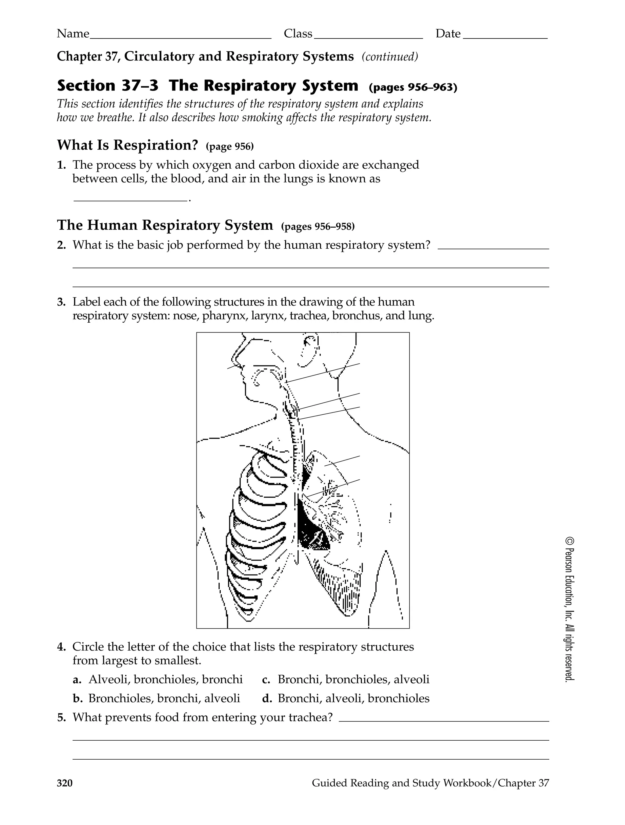 chapter-37-circulatory-and-respiratory-systems-se.pdf | Heart and ...