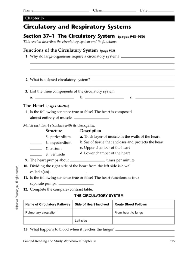 chapter-37-circulatory-and-respiratory-systems-se.pdf