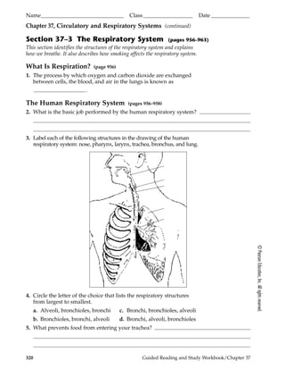 chapter-37-circulatory-and-respiratory-systems-se.pdf | Heart and ...