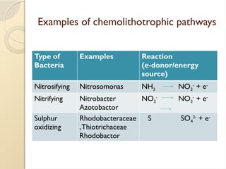 Chapter-3,Biology-classification.pptx bio | PPTX | Biological Sciences ...