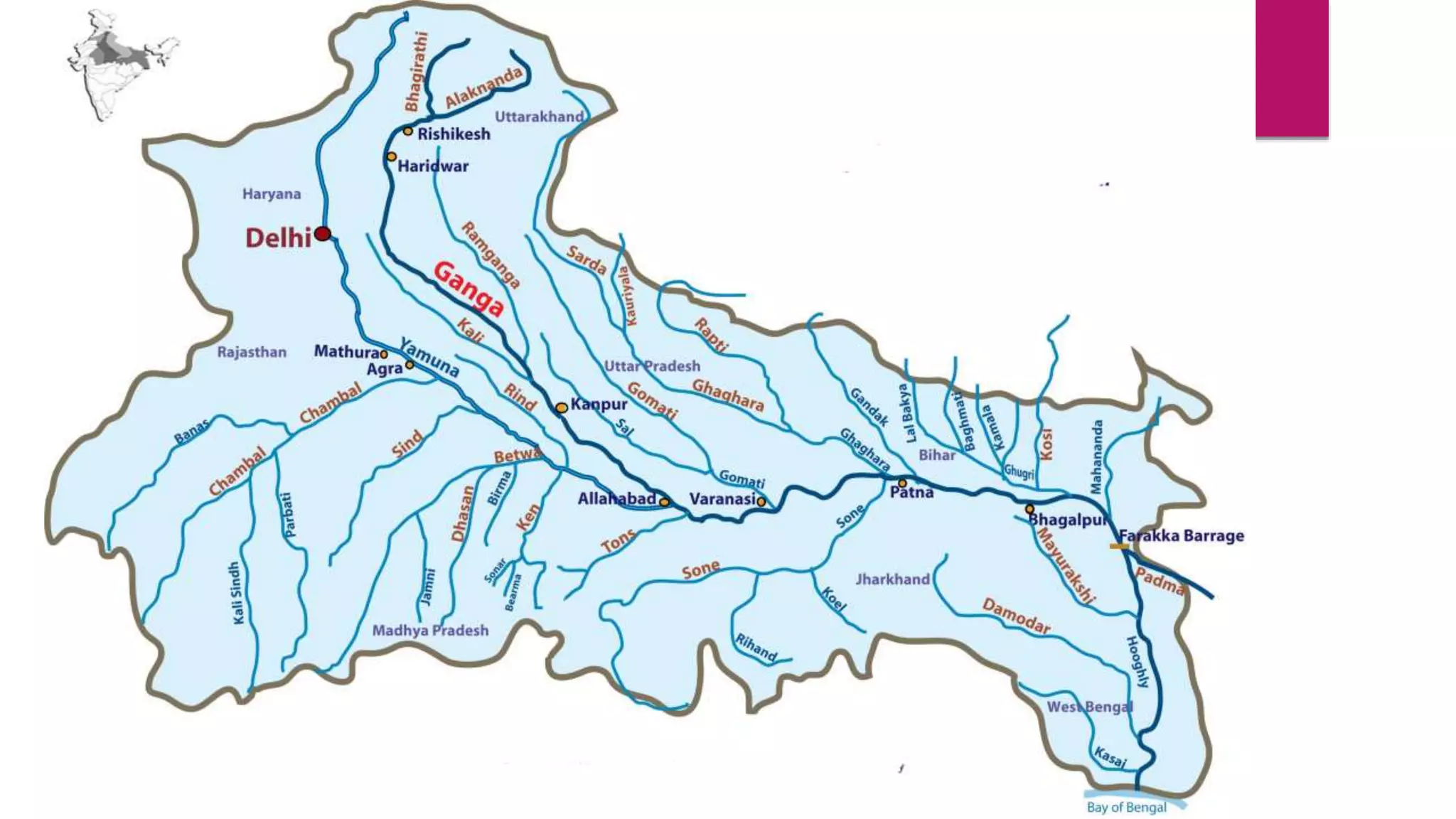 Drainage System CLASS XI PPT | PPTX