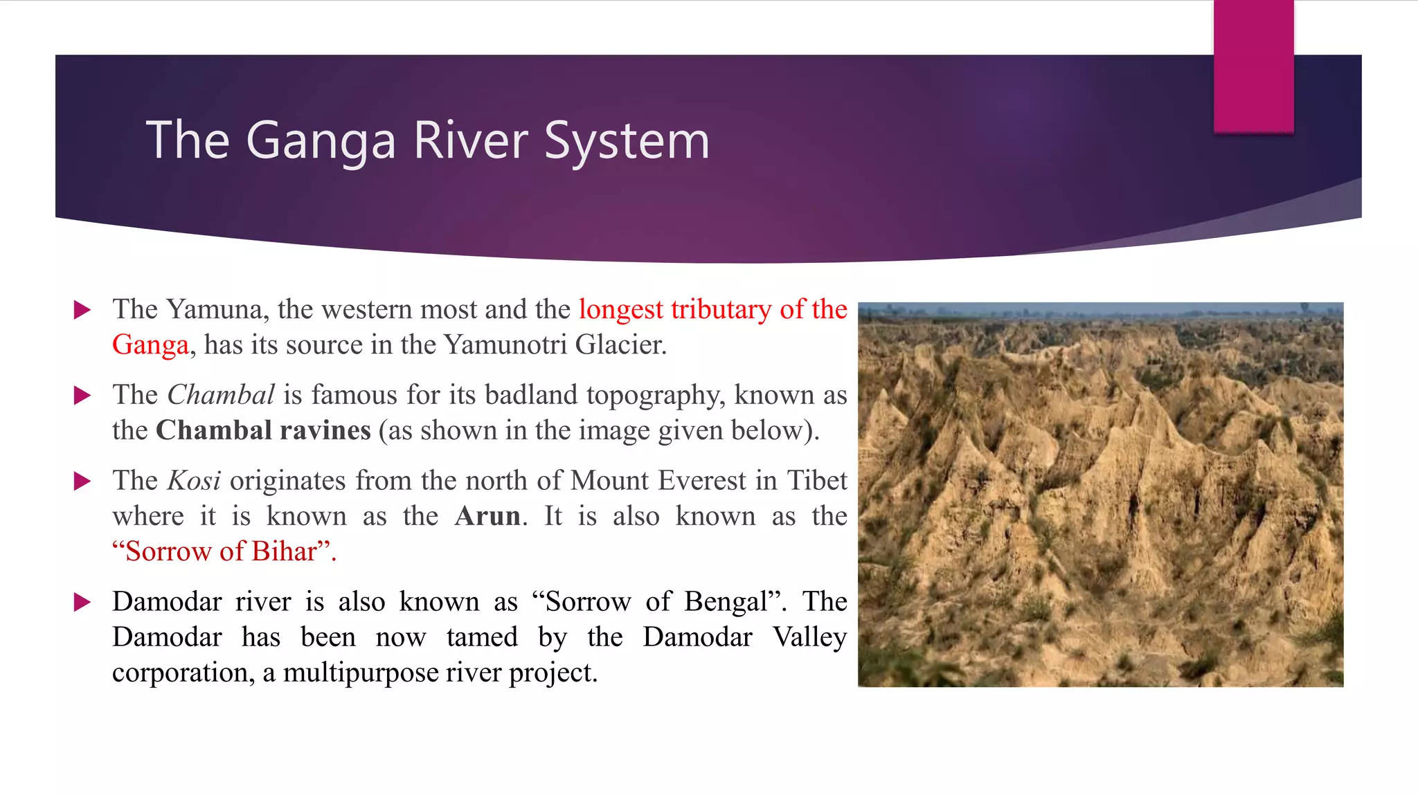 Drainage System CLASS XI PPT | PPTX