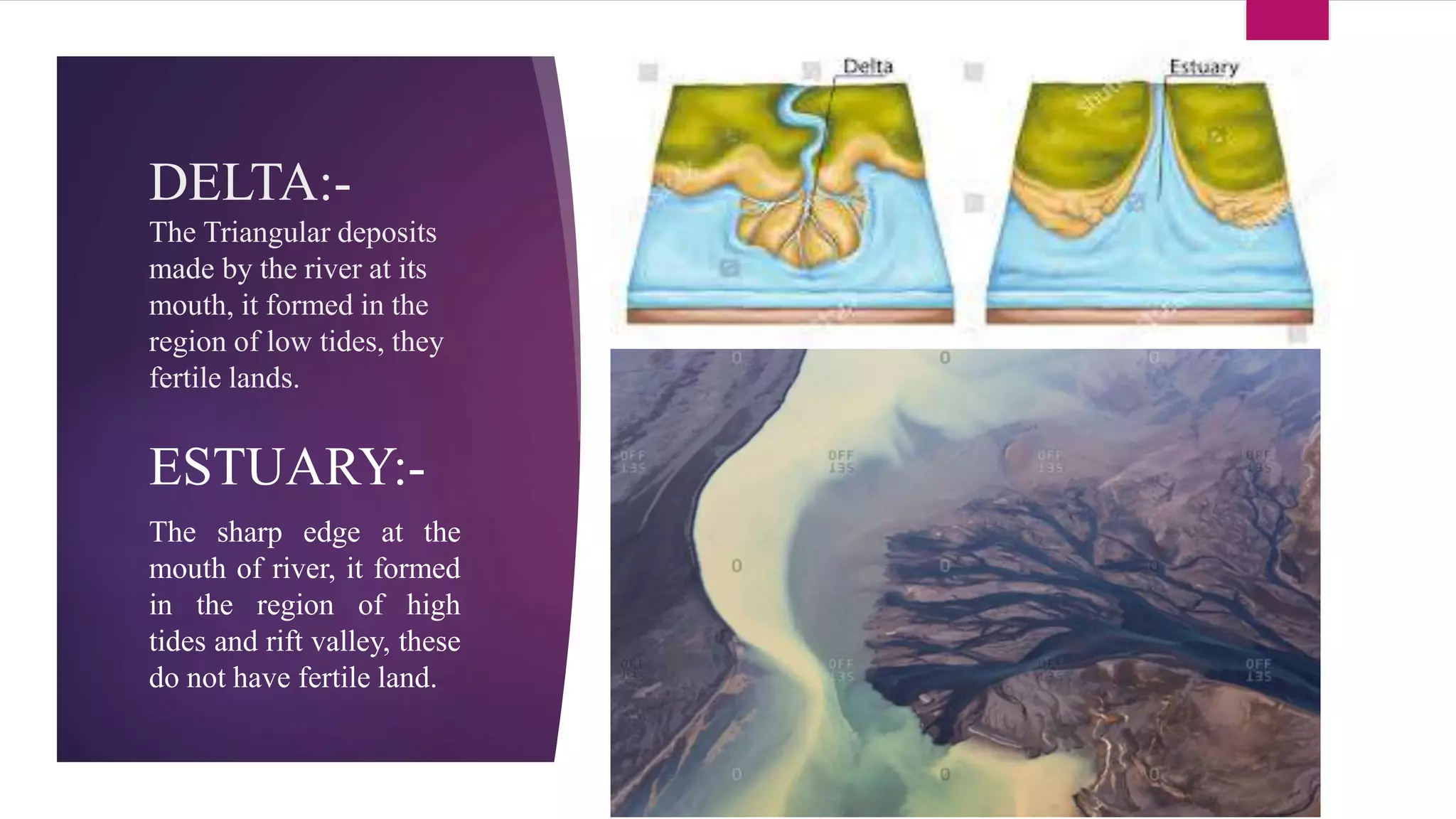Drainage System CLASS XI PPT | PPTX