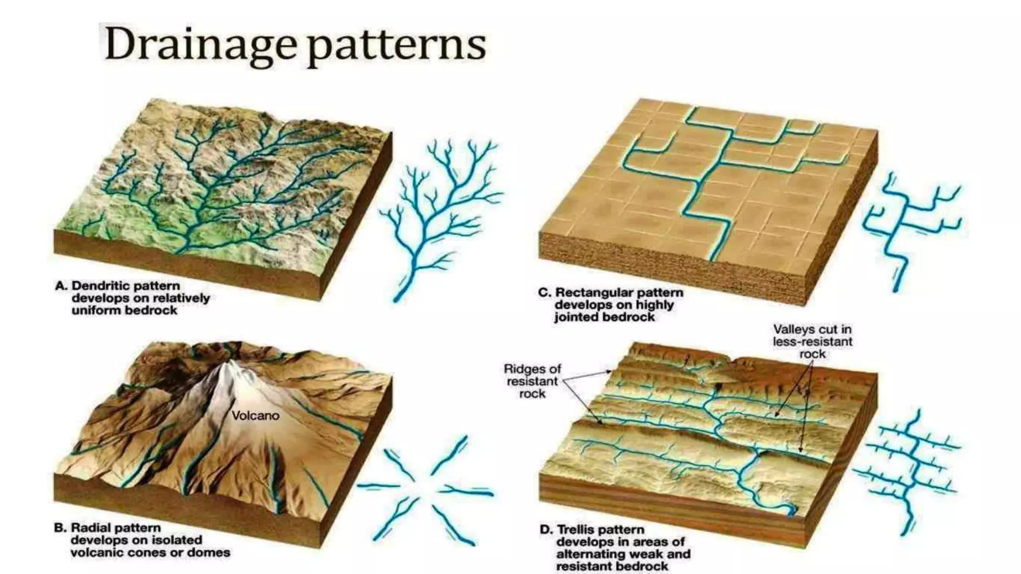 Drainage System CLASS XI PPT | PPTX