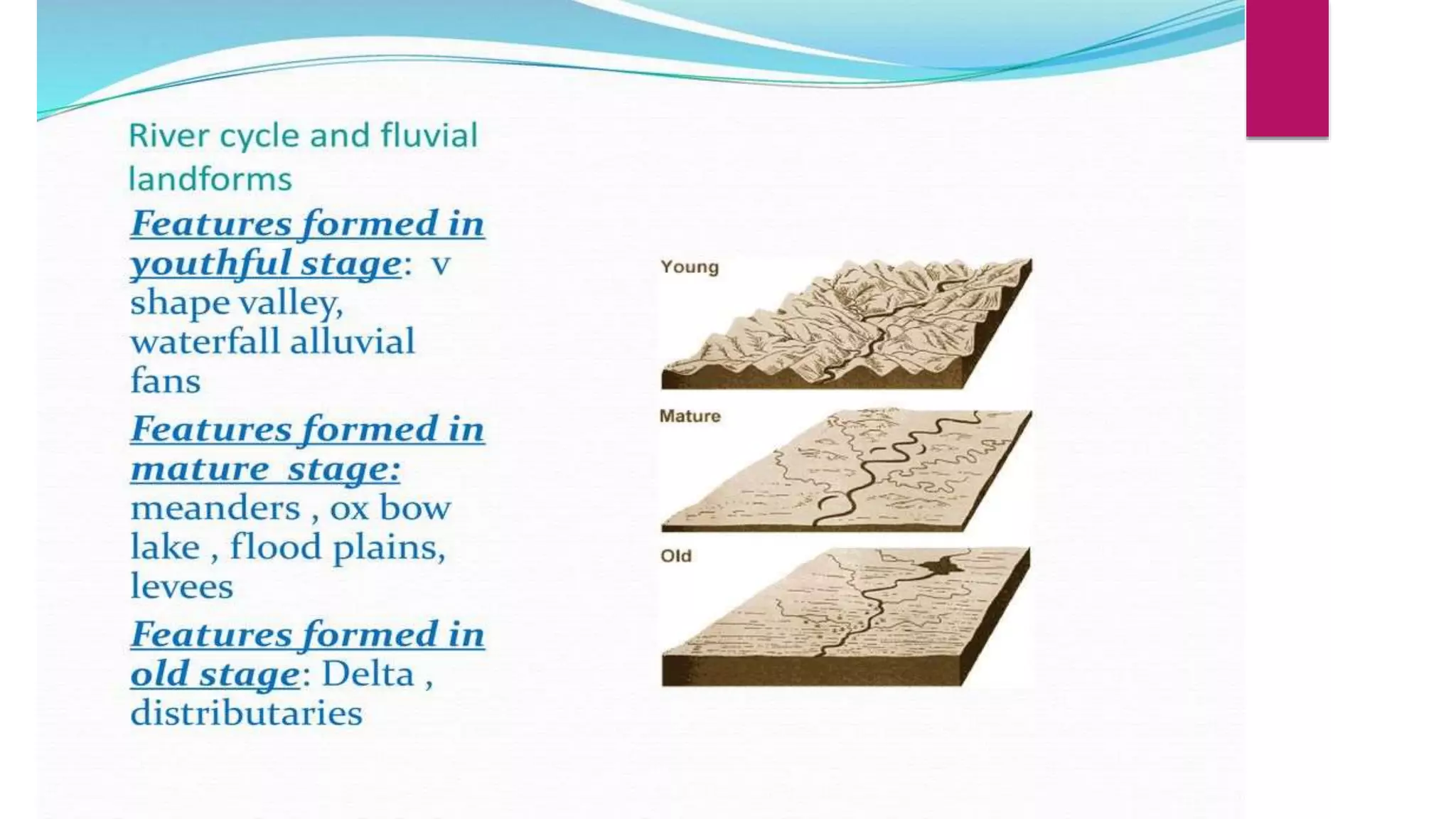 Drainage System CLASS XI PPT | PPTX