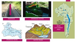 Drainage System CLASS XI PPT | PPTX