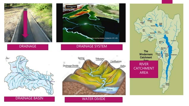 Drainage System CLASS XI PPT | PPT