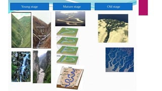 Drainage System CLASS XI PPT | PPTX