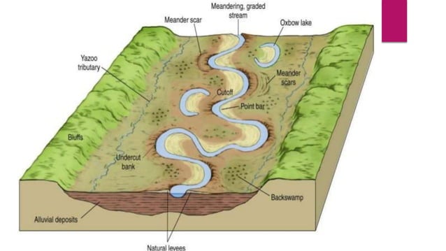 Drainage System CLASS XI PPT | PPTX | Asia Travel | Travel Locations