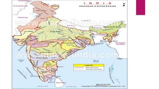 Drainage System CLASS XI PPT | PPTX