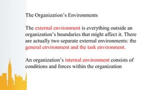 Chapter-3( Organization Environment).pptx