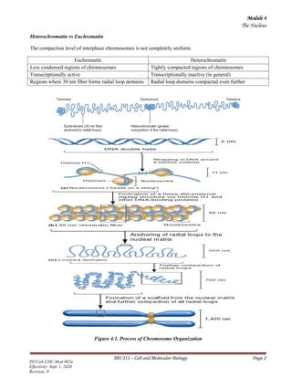 Chapter-4.-Topics-12-Module-Cell-cycle-P53.pdf