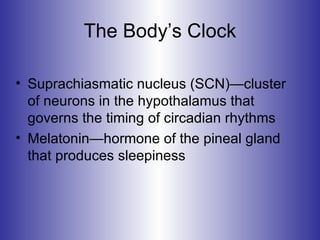 Chapter 4 Lecture Disco 4e | PPT