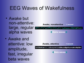 Chapter 4 Lecture Disco 4e | PPT