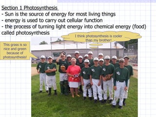 Chapter 4 Notes | PPT | Biological Sciences | Science