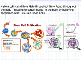 Chapter 4 Notes | PPT | Biological Sciences | Science
