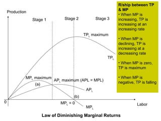 Chapter 4 Production | PPT | Business | Business and Finance