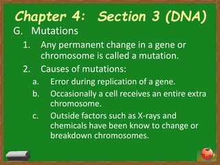 Chapter 4 section 3 (dna) | PPTX