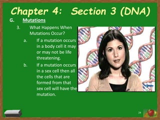 Chapter 4 section 3 (dna) | PPTX