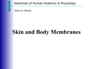 anatomy and physiology Skin Body Membranes | PPTX