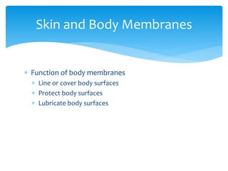 chapter-4-skin (3).pdf PPT ANATMOY AND PHYSIOLOGY | PPT