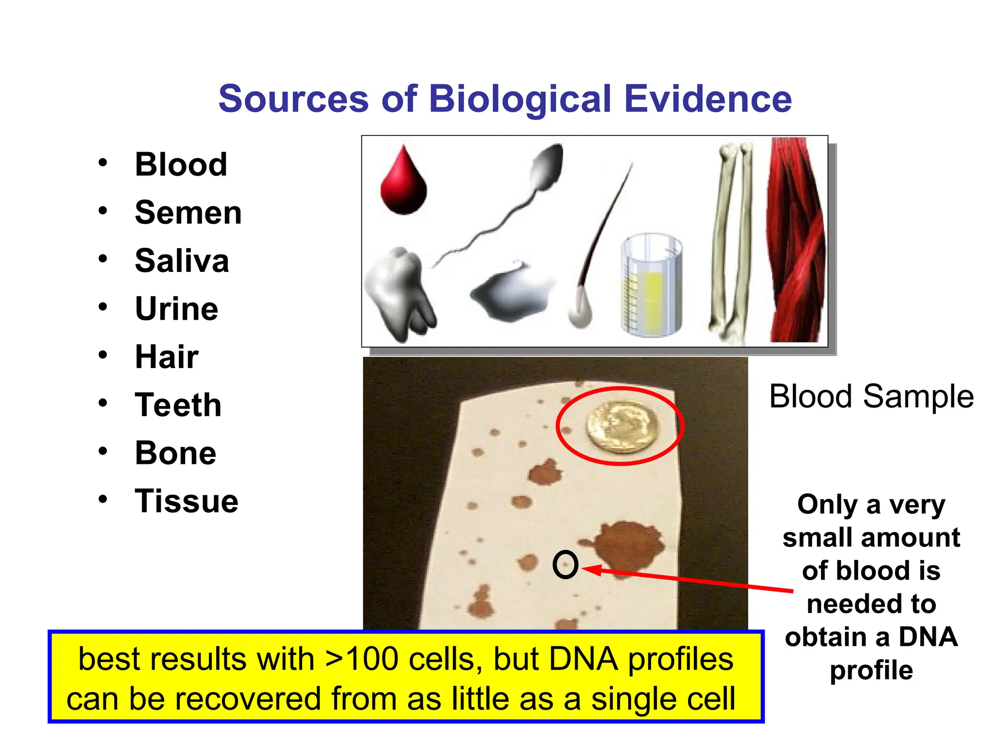 Chapter-4-slidesgghhhhhhhhhhhhhhhhhhh.ppt