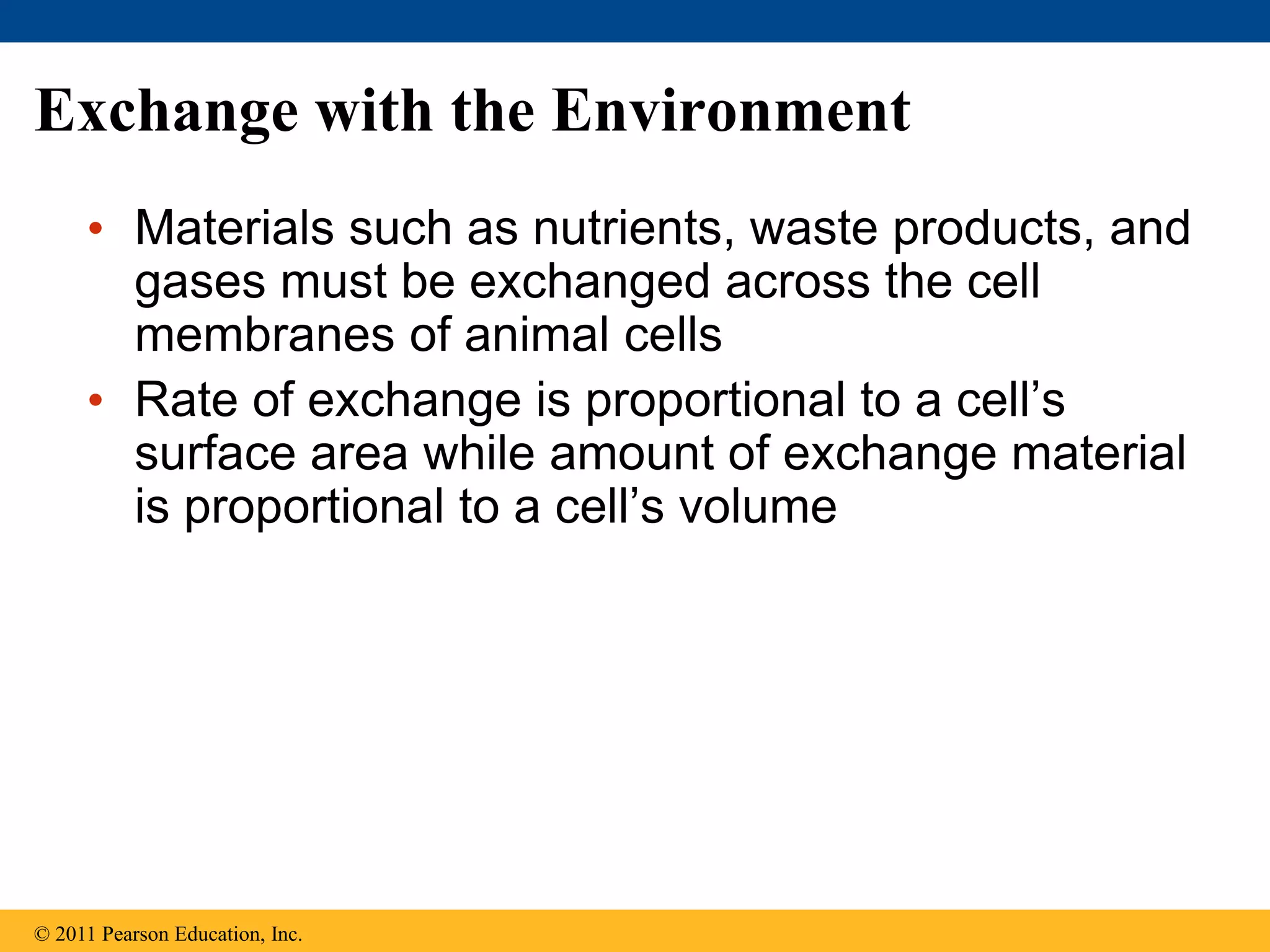 Chapter 40-animal-form-function-2014 | PPT Chapter 40-animal-form-function-2014 | PPT