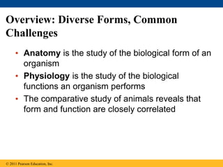 Chapter 40-animal-form-function-2014 | PDF
