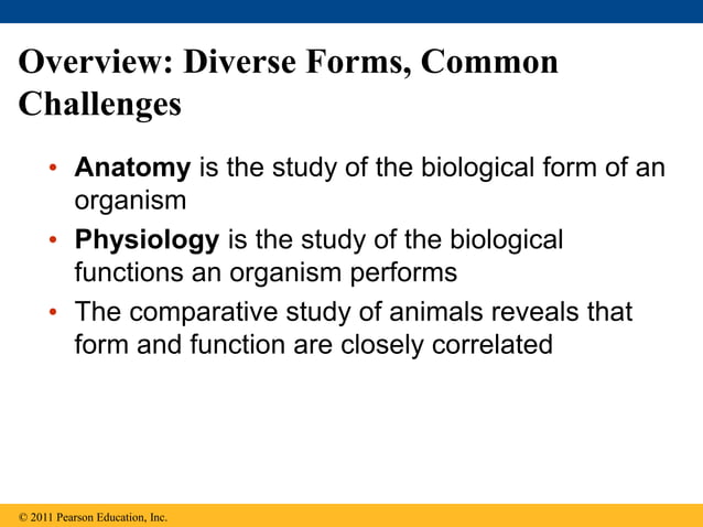 Chapter 40-animal-form-function-2014 | PPT