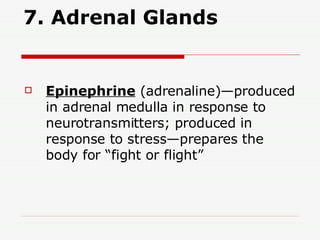 Chapter 45—Chemical Signals In Animals | PPT