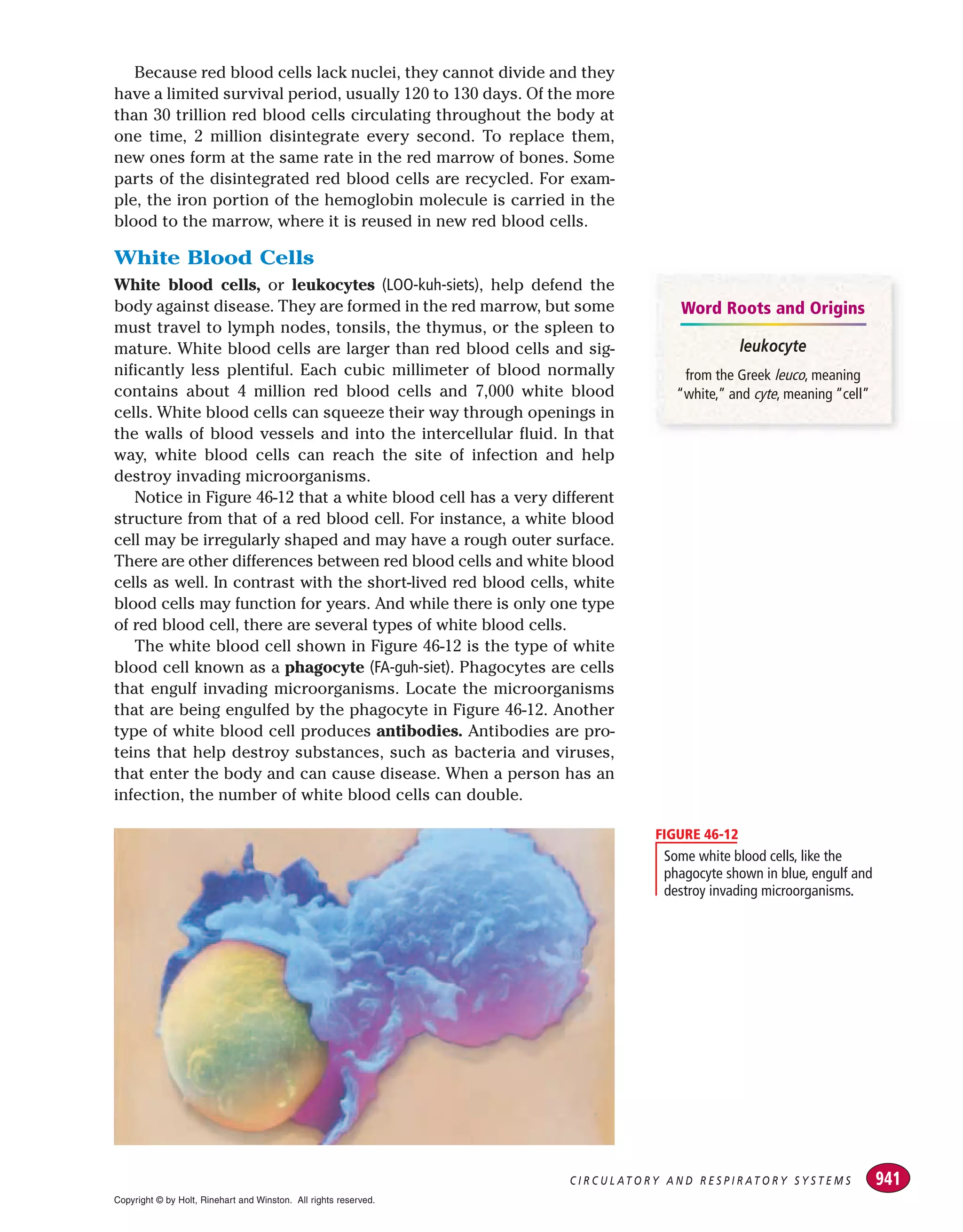 chapter-46-circulatory-and-respiratory-systems.pdf
