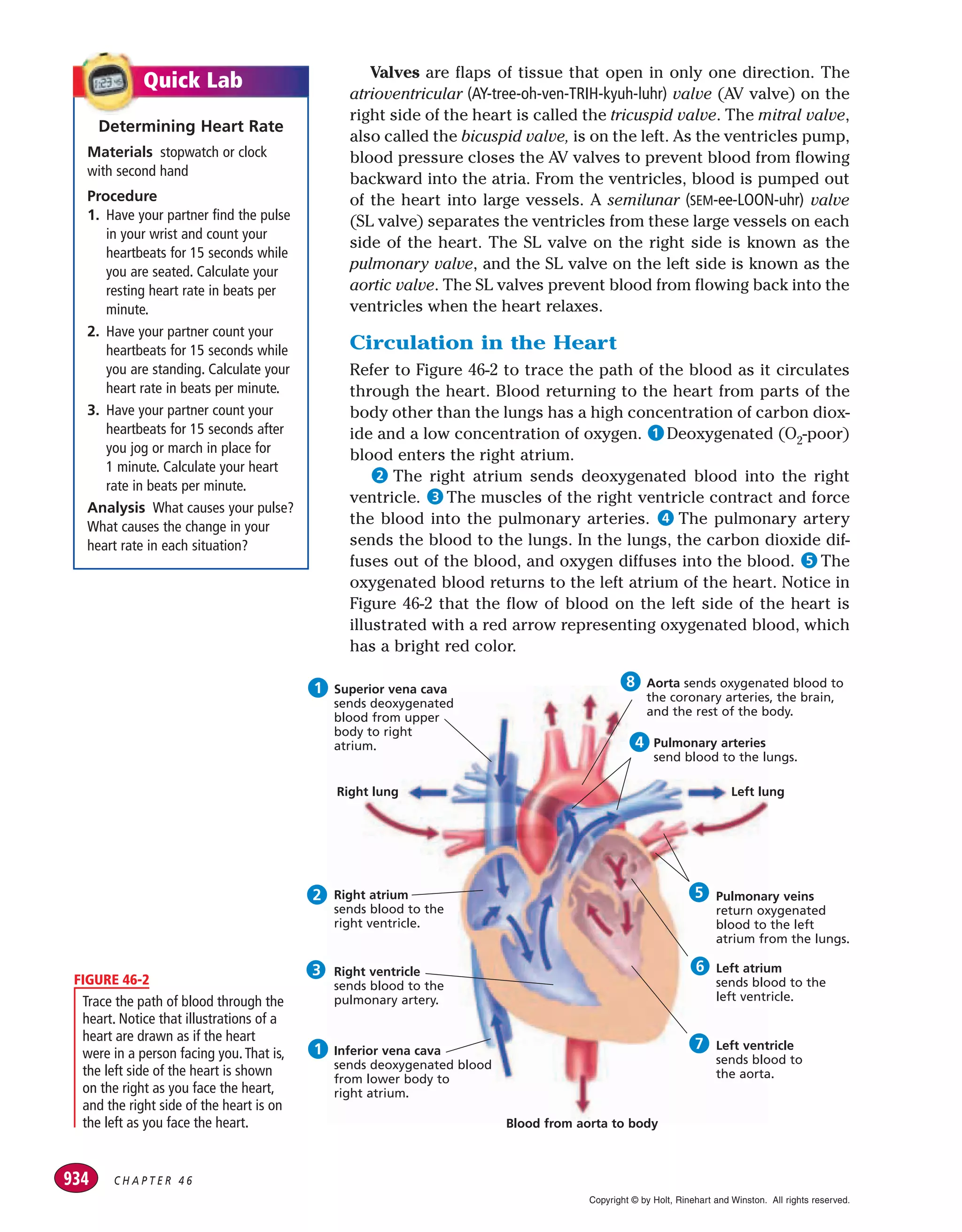 chapter-46-circulatory-and-respiratory-systems.pdf