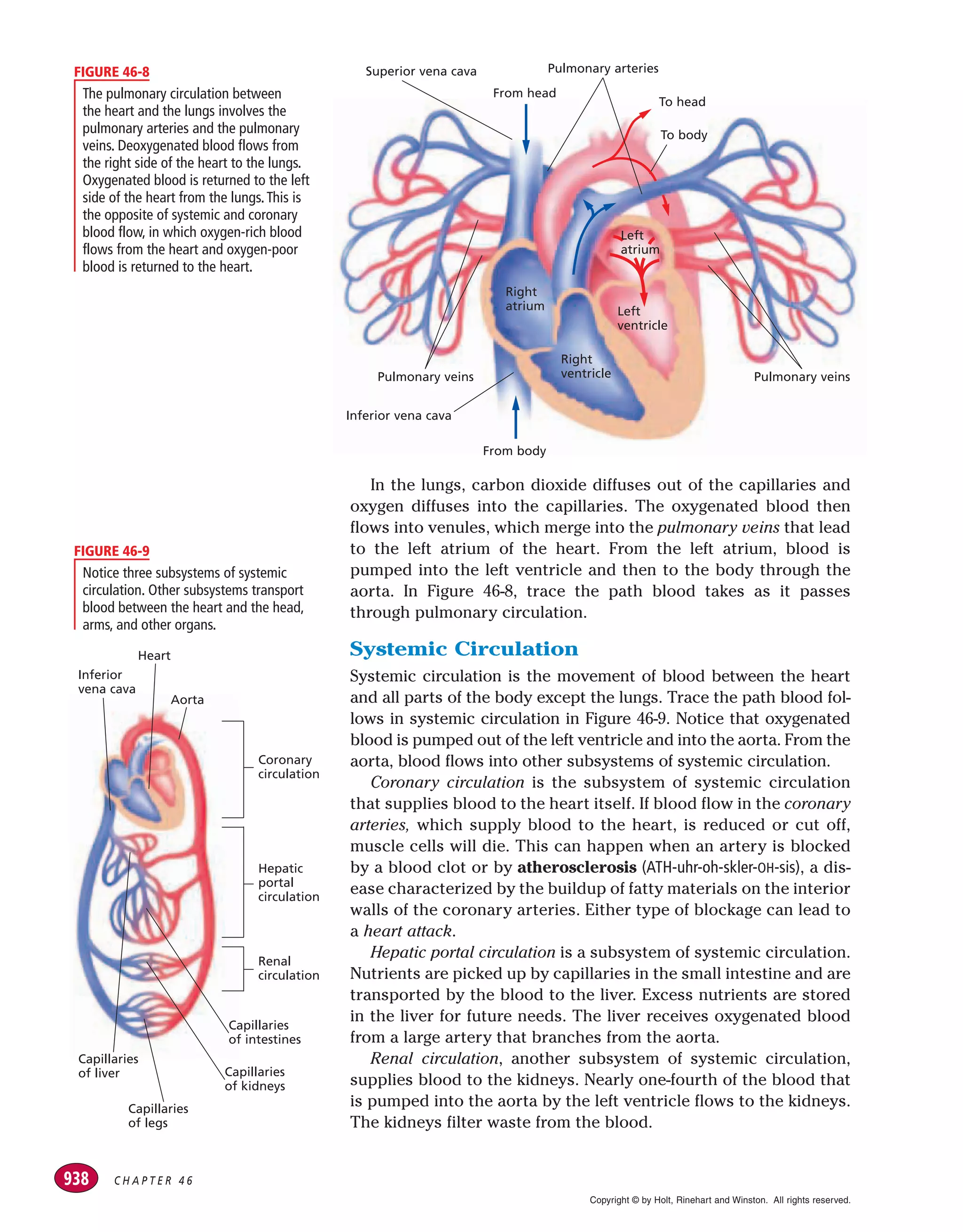 chapter-46-circulatory-and-respiratory-systems.pdf
