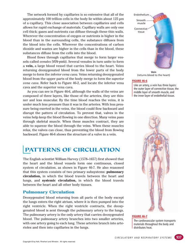 chapter-46-circulatory-and-respiratory-systems.pdf