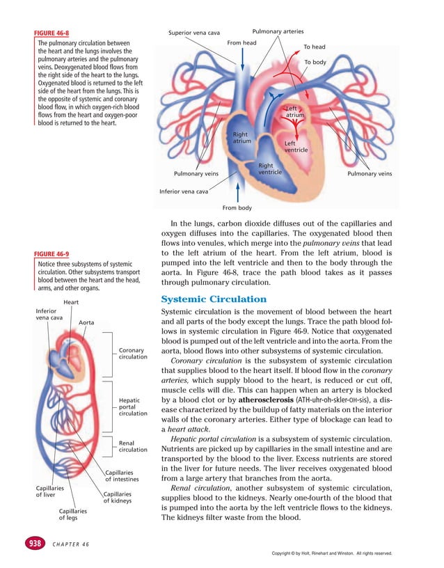 chapter-46-circulatory-and-respiratory-systems.pdf
