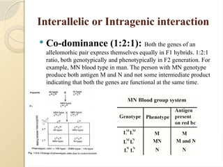 Chapter-4, Biology- Genetics.pptx biology | PPTX