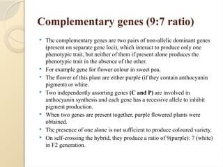 Chapter-4, Biology- Genetics.pptx biology | PPTX